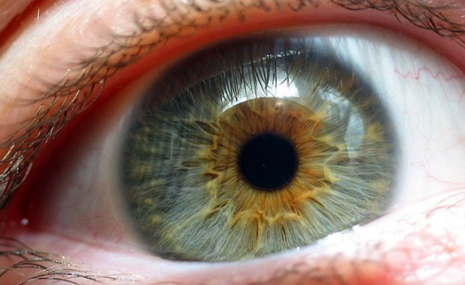Are You At Risk Of Macular Degeneration This New Test Will Tell You are-you-at-risk-of-macular-degeneration-this-new-test-will-tell-you