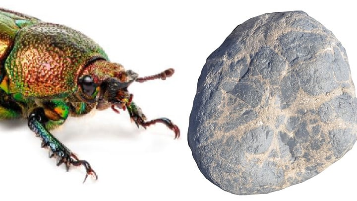 Saturday night nostalgia: Were you a Beatle or a Stone? The best ...