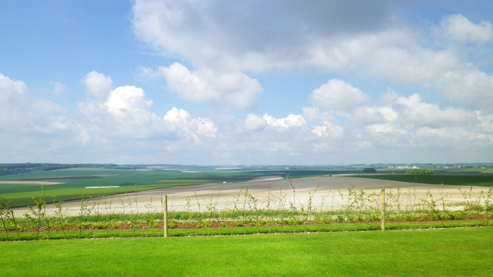 Flanders Field: my visit to the battlefields - Starts at 60
