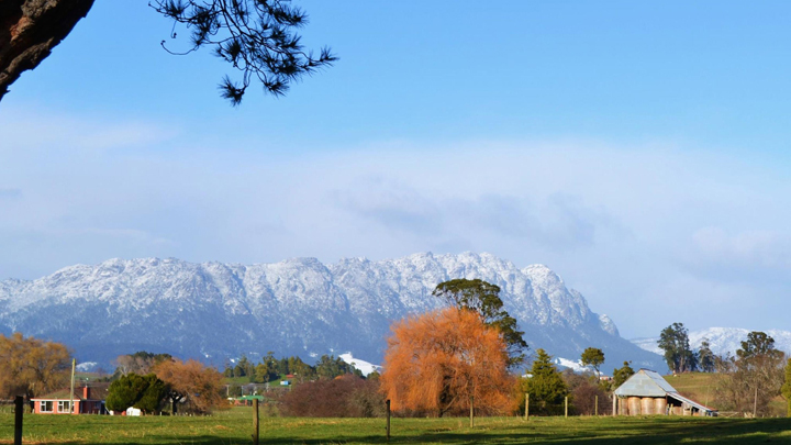 A photo… A memory… A smile of joy… - Starts at 60