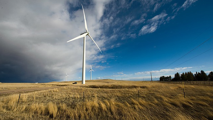 Electricity could grow on trees - Starts at 60