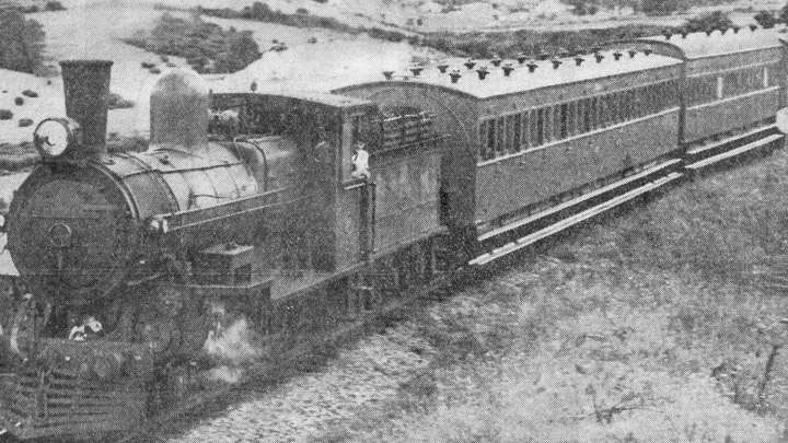 The legendary Mrs Delaney - Starts at 60