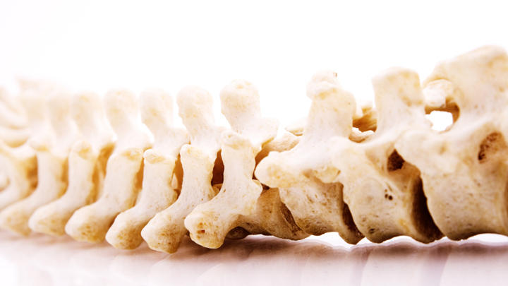 Shrinking with age – does it really happen and how can you stop it ...