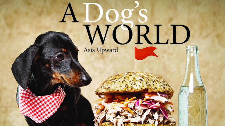 It’s A Dog’s World! Three treat recipes for your pup - Starts at 60