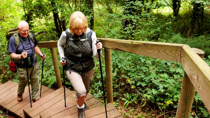 4 environmentally sustainable hobbies that will make you feel great ...