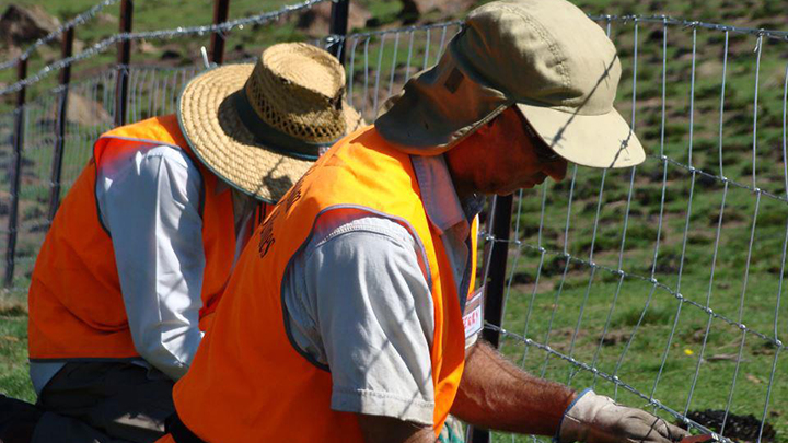 Retirement volunteering with BlazeAid - Starts at 60