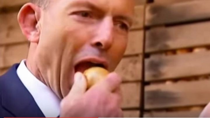 Has Tony Abbott been practising the onion trick? - Starts at 60