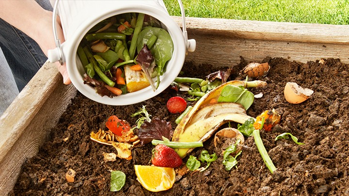 10 surprising things you can compost - Starts at 60
