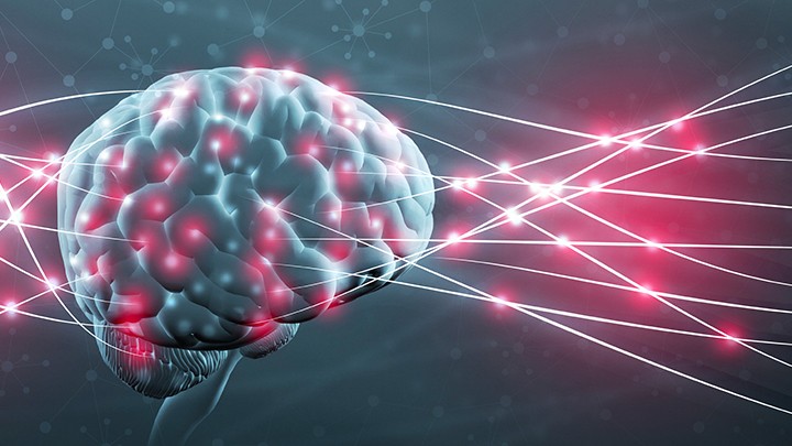 Your bad diet is shrinking your brain: a chilling warning for over-60s ...