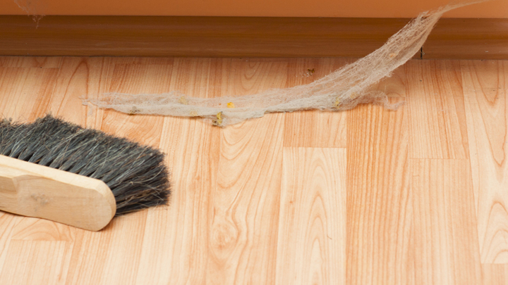 How to easily clean ceiling cobwebs without strain - Starts at 60