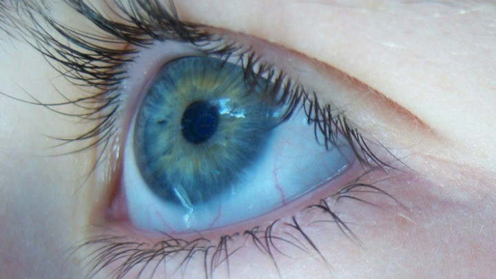 All blue-eyed people share a common ancestor - Starts at 60