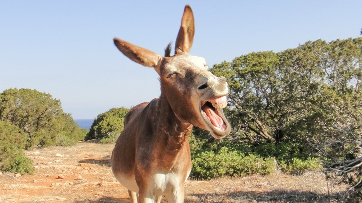 Shake it off and step up - Starts at 60