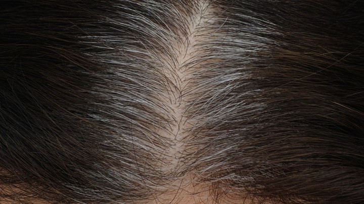 You can touch up your grey roots quickly at home - Starts at 60