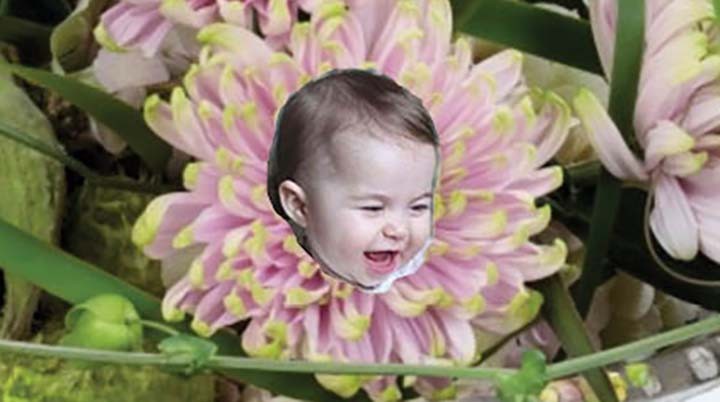 Princess Charlotte has a beautiful flower named after her - Starts at 60