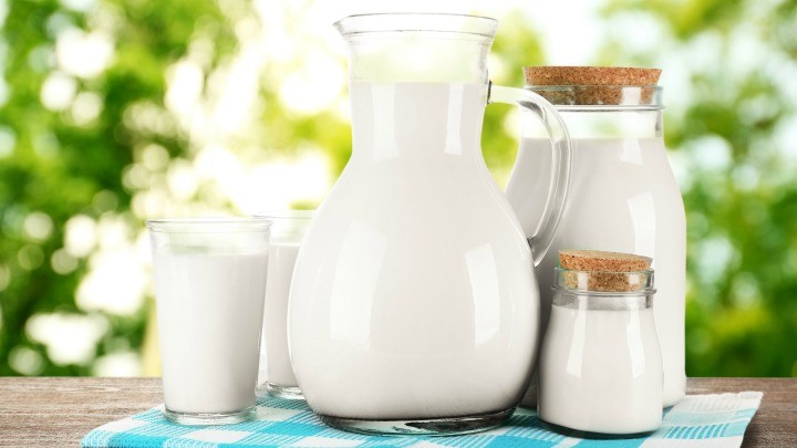 Which milk is right for you - Starts at 60
