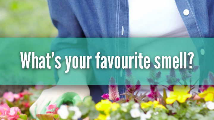 What’s your favourite smell? - Starts at 60