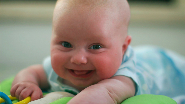 GIFs that tell the whole side-splitting story - Starts at 60