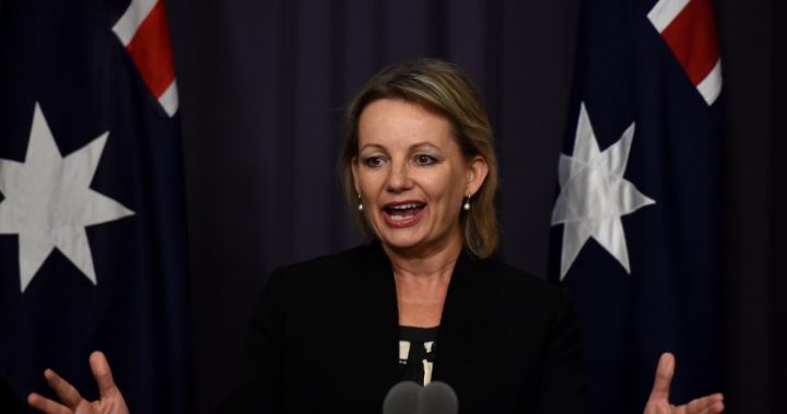 Sussan Ley announces she will step aside - Starts at 60