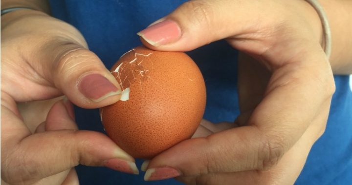 Life hack on egg shells; how to easily peel a hard boiled egg - Starts ...