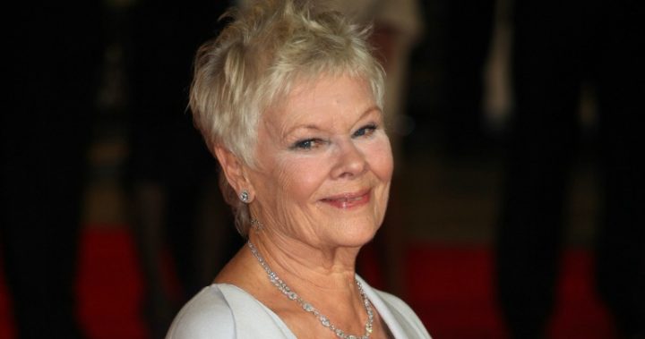 Judi Dench gets her own rose for Chelsea Flower Show - Starts at 60