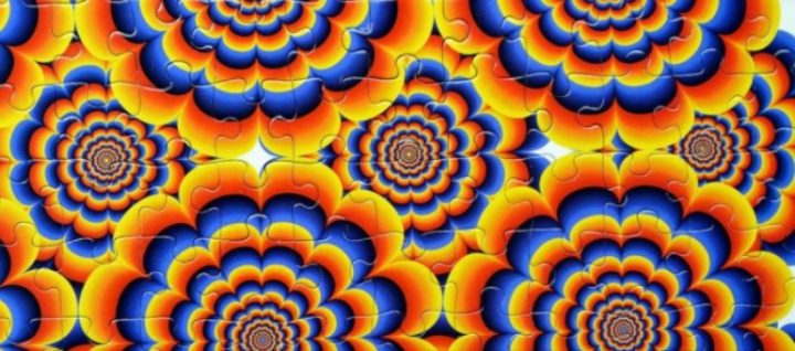 Crazy optical illusion pictures baffle the internet - Starts at 60