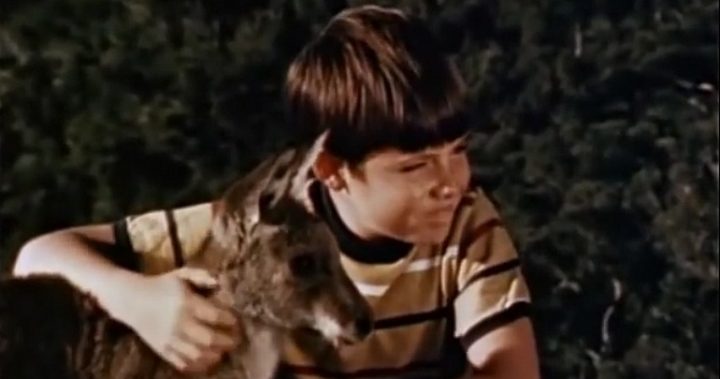 Your morning heart-starter: 5 tricky questions on ‘Skippy the Bush ...