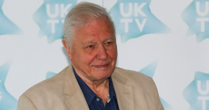 David Attenborough defies age to host new ‘Planet Earth’-style show ...