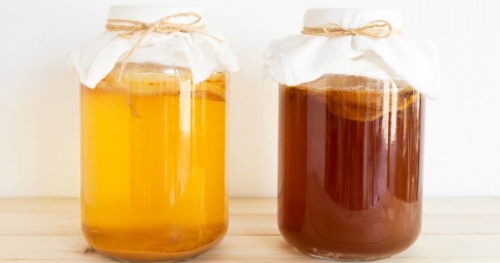 Everything you need to know about DIY healthy fermented drinks - Starts ...