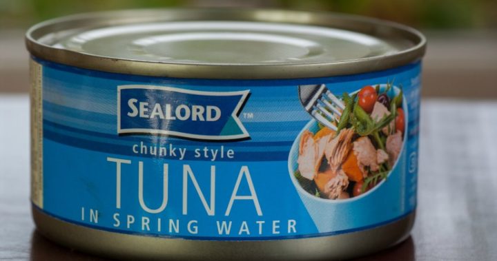Tinned tuna could be wrecking your gut: study - Starts at 60