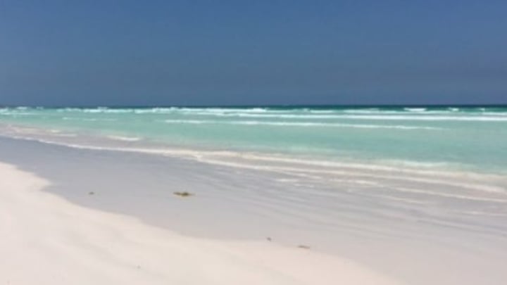 Absolute beachfront: Family refuses to leave shack built on crown land ...