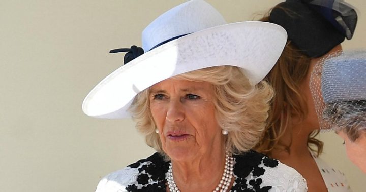 Camilla’s elegant white number steals the show at Order of the Garter ...