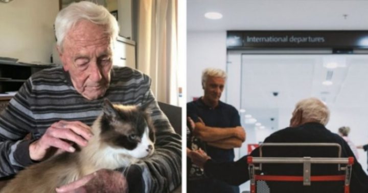 David Goodall’s bitter-sweet final message published on day of memorial ...