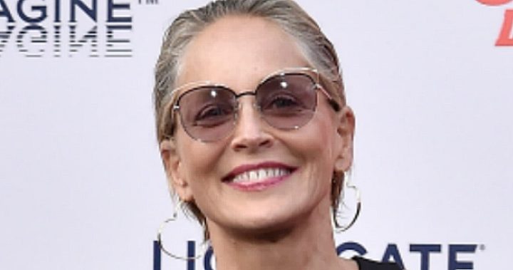 Sharon Stone turns heads in wild ’70s-style bell bottoms - Starts at 60