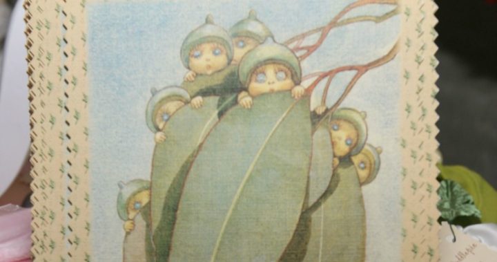 Iconic Australian stories: 100 years of Snugglepot and Cuddlepie ...