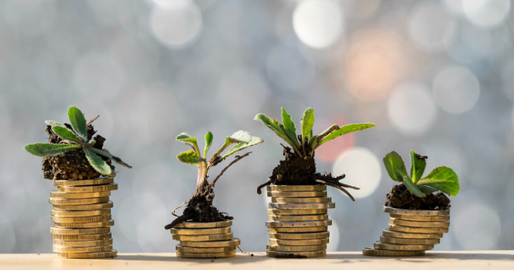 Why term deposits remain a sensible option for any investment portfolio ...