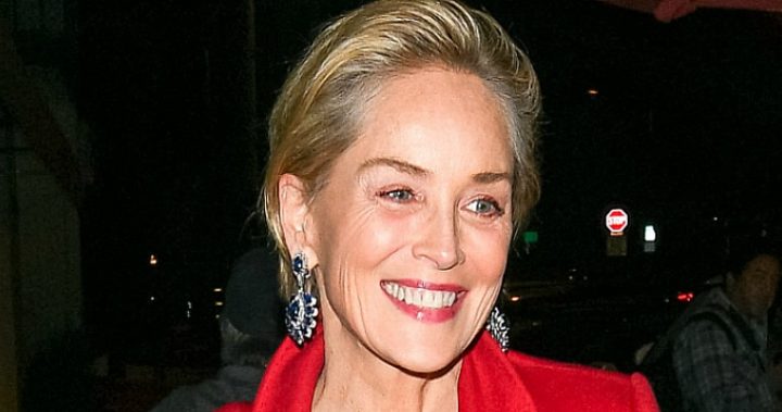 Sharon Stone matches ’70s-style blue velvet pumps with perfect LBD ...