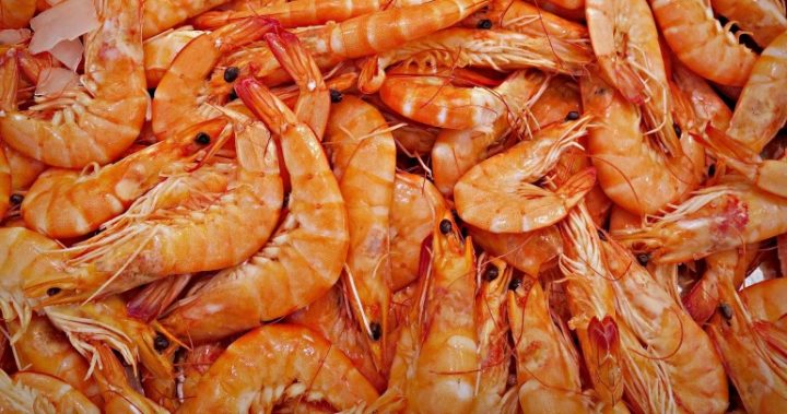Expert tips: How to get rid of prawns without stinking out your bin ...