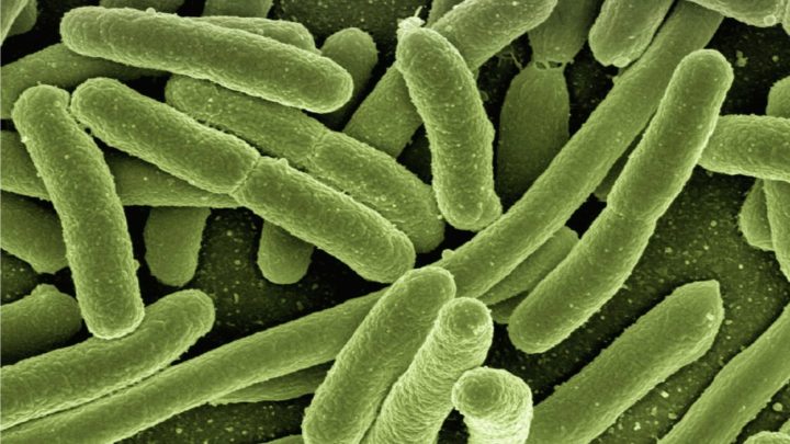 Superbug golden staph on the rise in Australian communities: Study ...