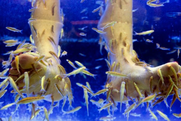 Woman loses toes after contracting infection from fish pedicure ...