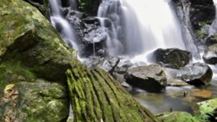 Protesters Falls walking track - Starts at 60