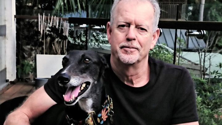 ‘Our greyhound can run 60km/h, but prefers to take an Uber’ - Starts at 60