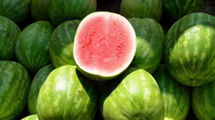 ‘My dad was the Watermelon King of the Mallee’ - Starts at 60