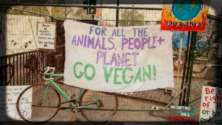 ‘I support the right to protest but extreme vegan activists are doing ...