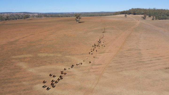 ‘Time to start thinking about the economic impact of Australia’s super ...