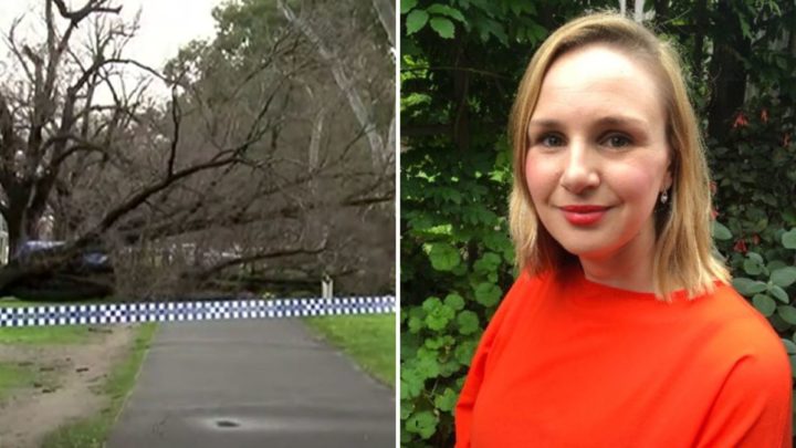 Tributes pour in for professor and young mother killed by falling tree ...
