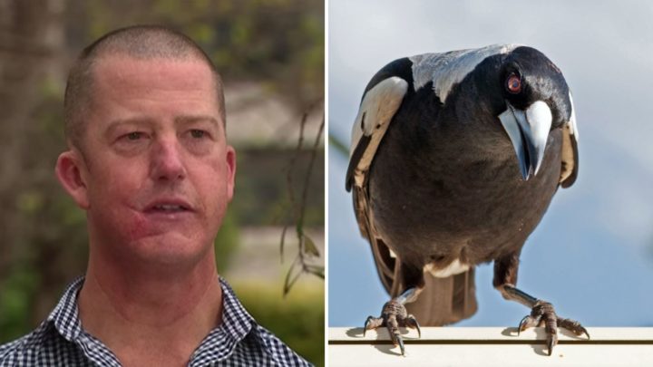 Witness recalls horror after 76-year-old dies trying to avoid vicious ...