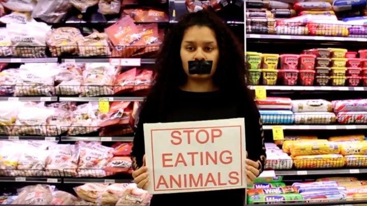 ‘It’s violence’: Vegan protestors clash with shoppers in supermarket ...