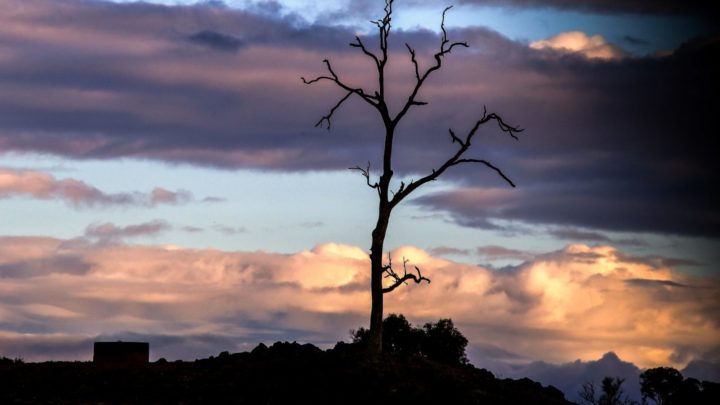 Tree-change truths: The eye-opening experience of moving to the country ...