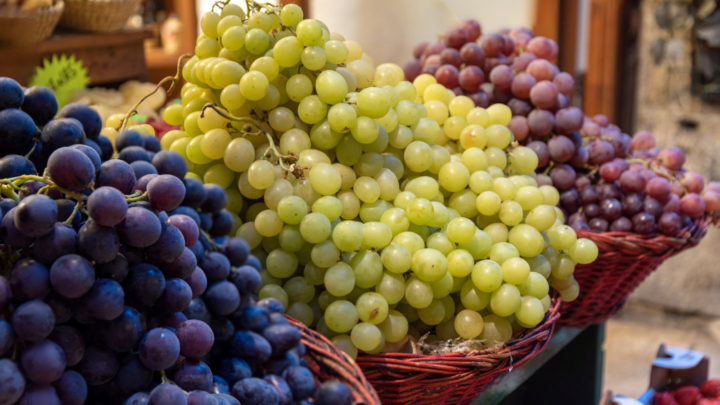 Big grape danger! Doc gets stick for warning on choking hazard - Starts ...