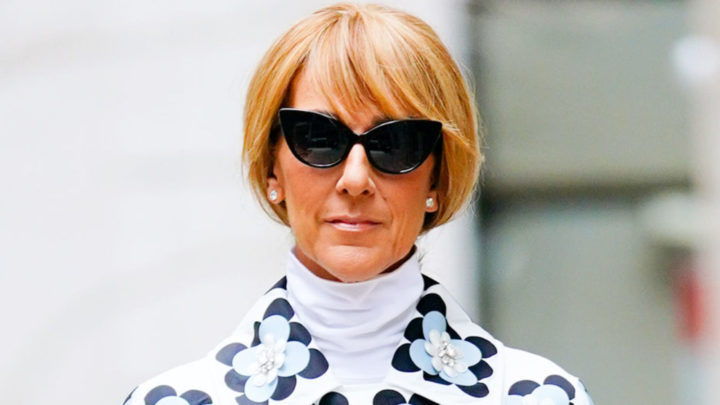 Groovy baby! Celine Dion rocks ’60s-inspired look in bold coat dress ...